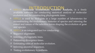 Molecular evolution genetic..MEGA1.pptx