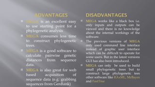 Molecular evolution genetic..MEGA1.pptx