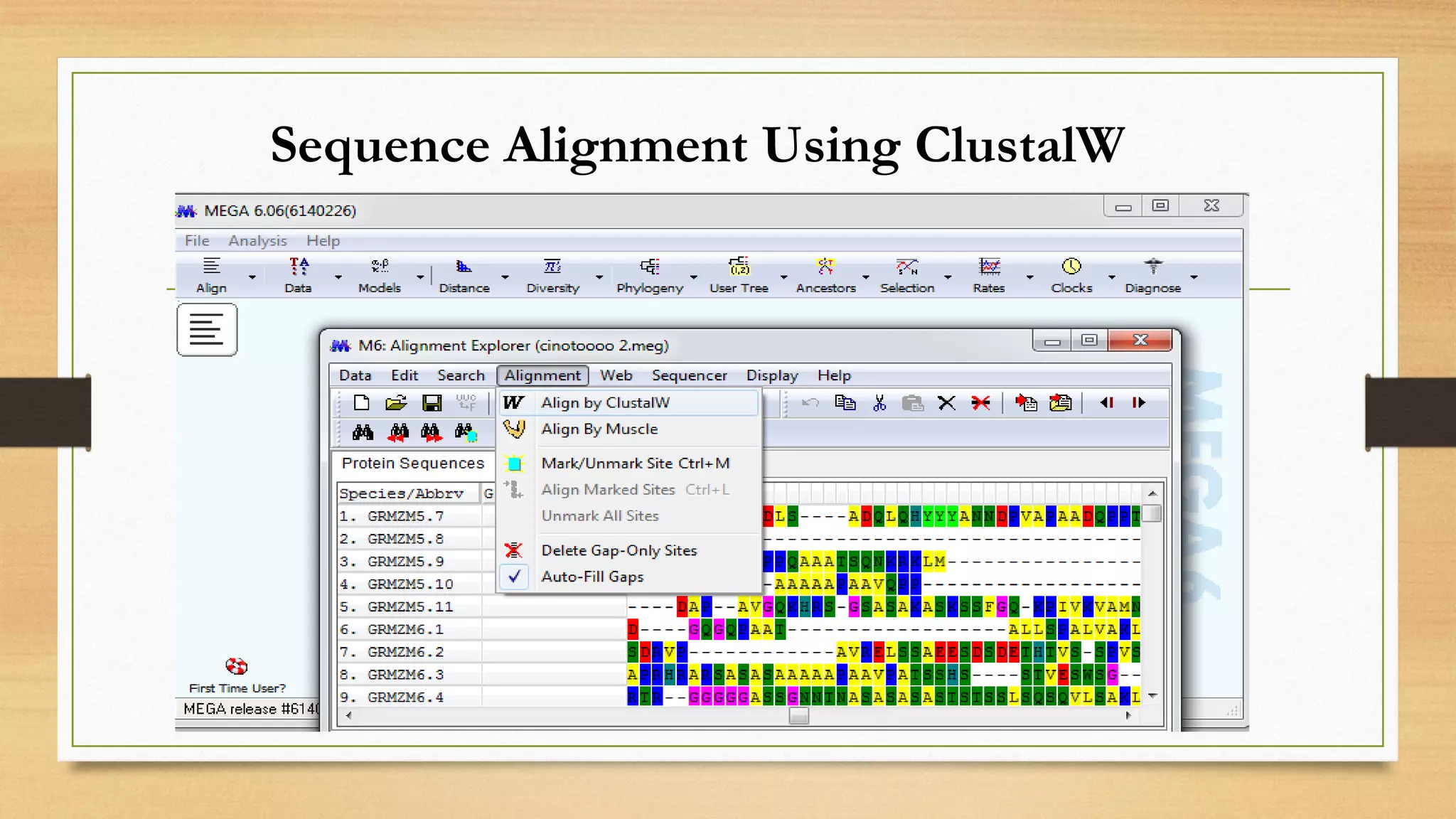 MEGA (Molecular Evolutionary Genetics Analysis) | PDF