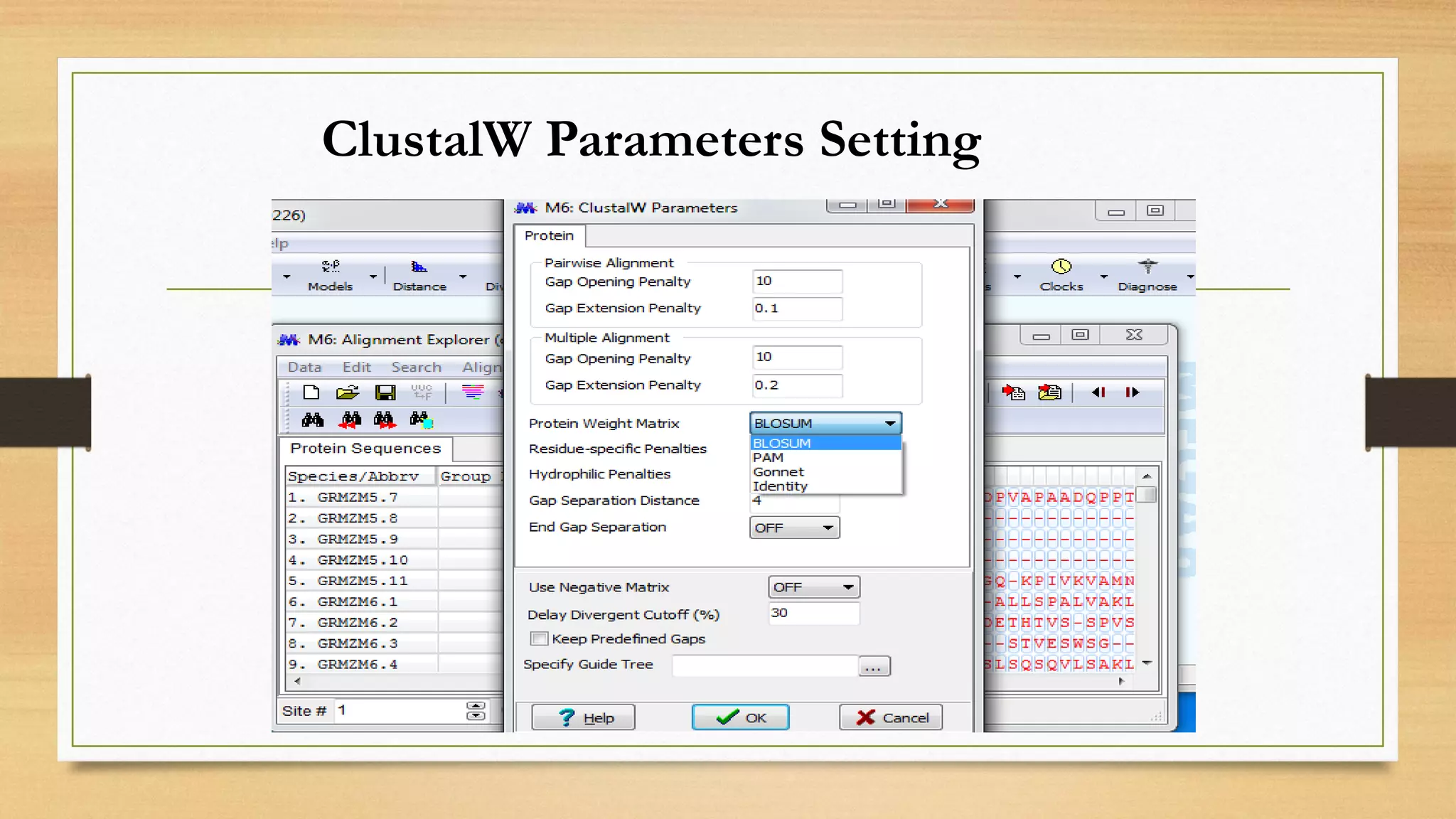 MEGA (Molecular Evolutionary Genetics Analysis) | PDF