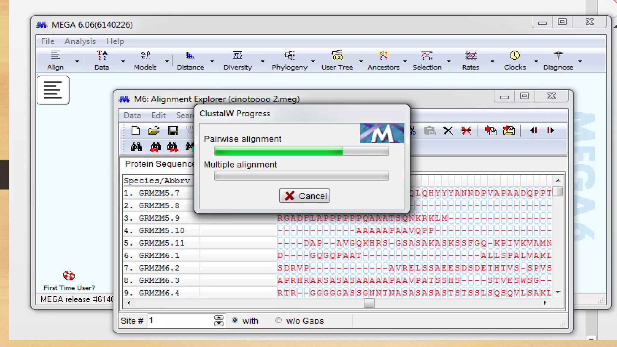 MEGA (Molecular Evolutionary Genetics Analysis) | PDF