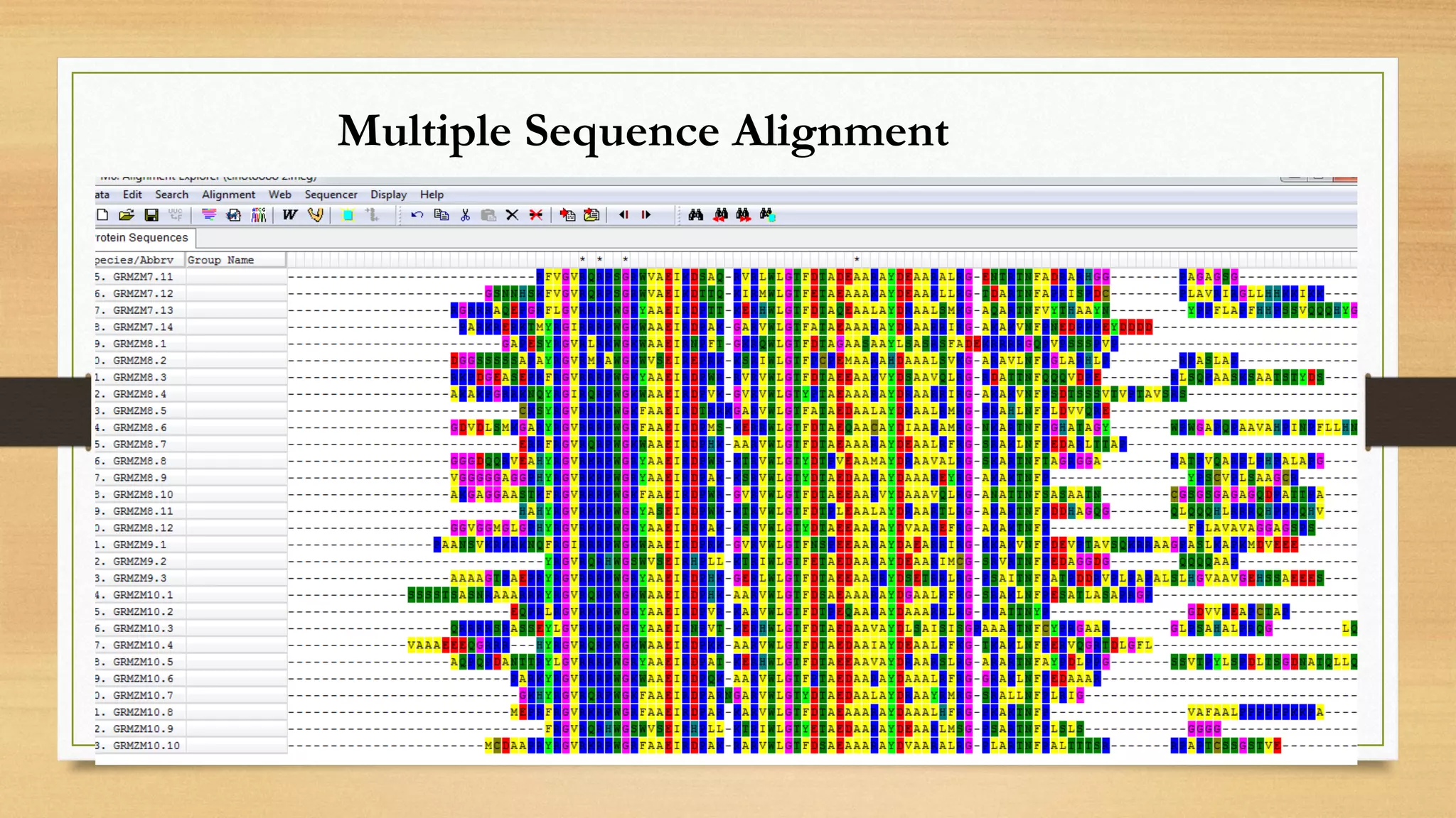 MEGA (Molecular Evolutionary Genetics Analysis) | PDF