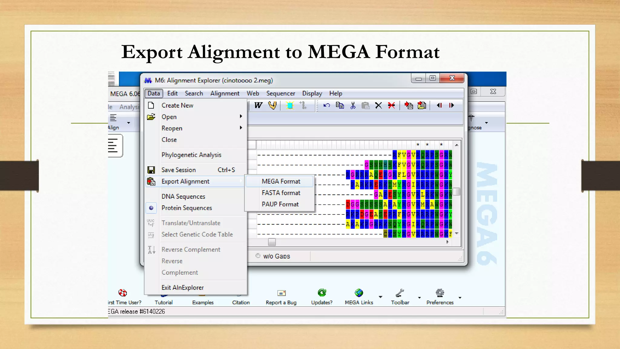 MEGA (Molecular Evolutionary Genetics Analysis) | PDF