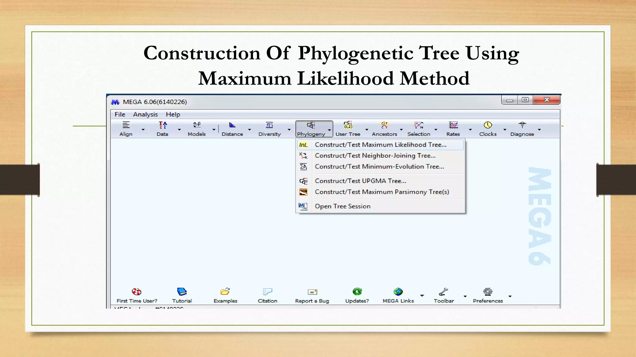 MEGA (Molecular Evolutionary Genetics Analysis) | PDF
