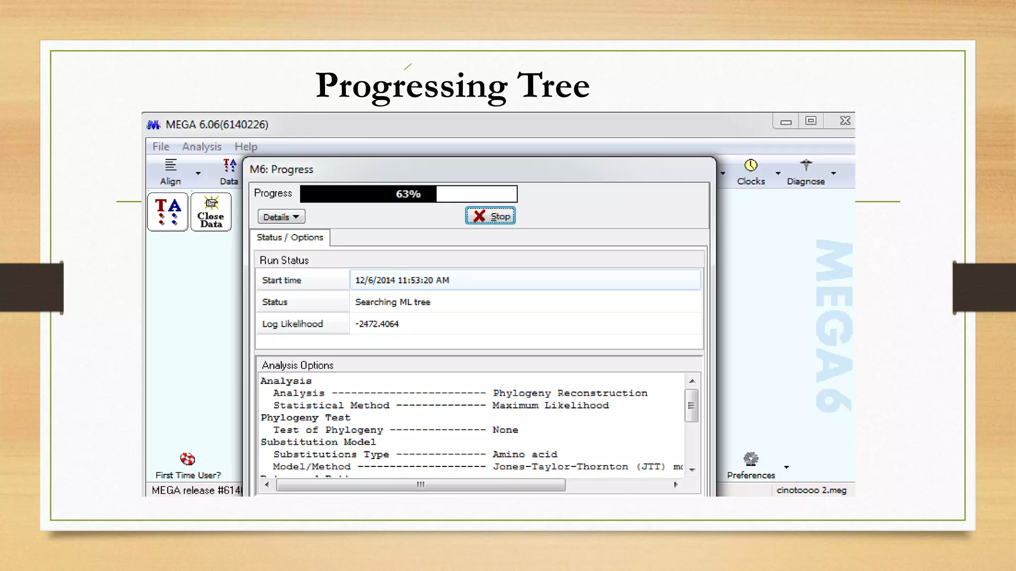 MEGA (Molecular Evolutionary Genetics Analysis) | PDF