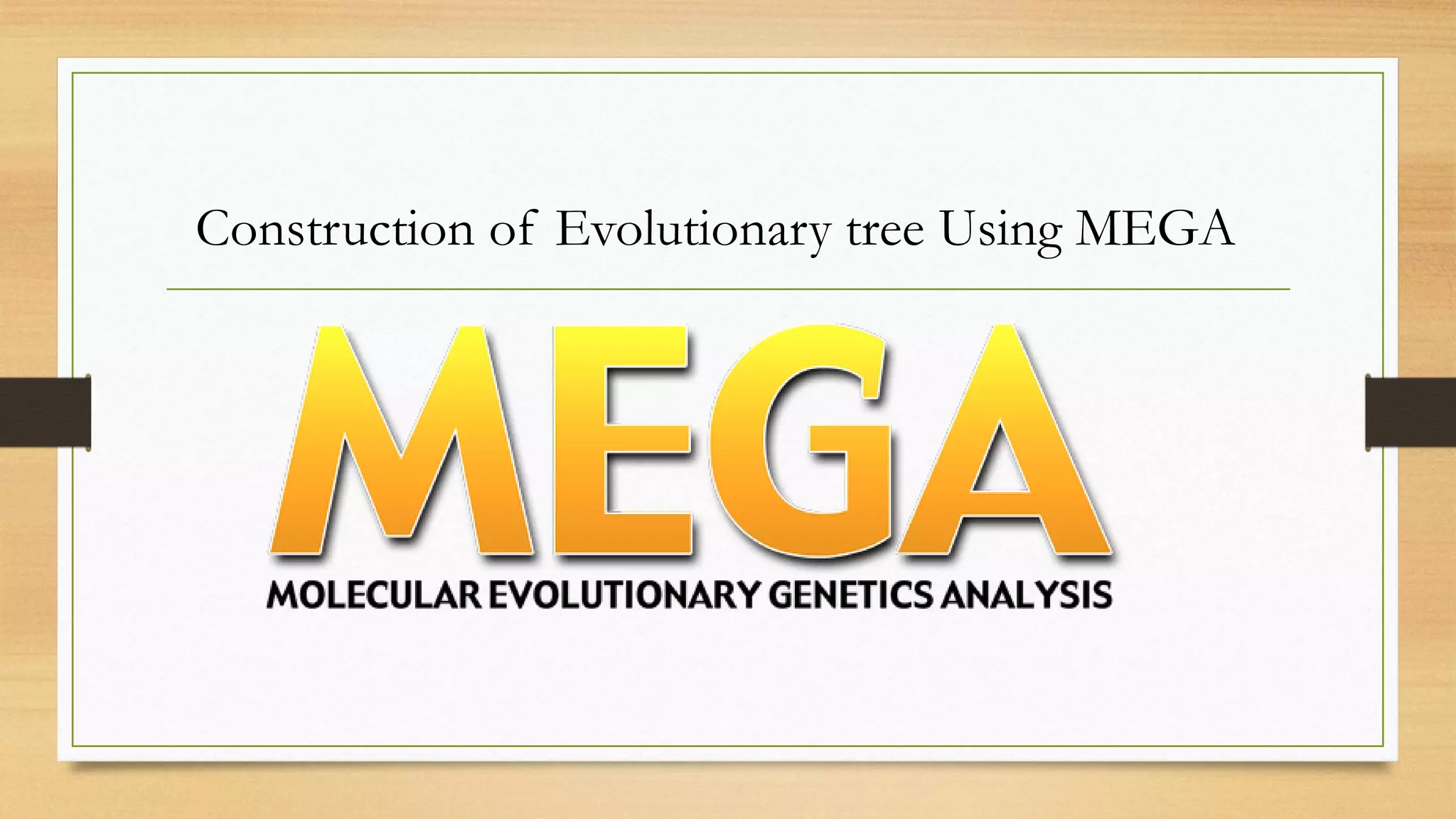 MEGA (Molecular Evolutionary Genetics Analysis) | PDF