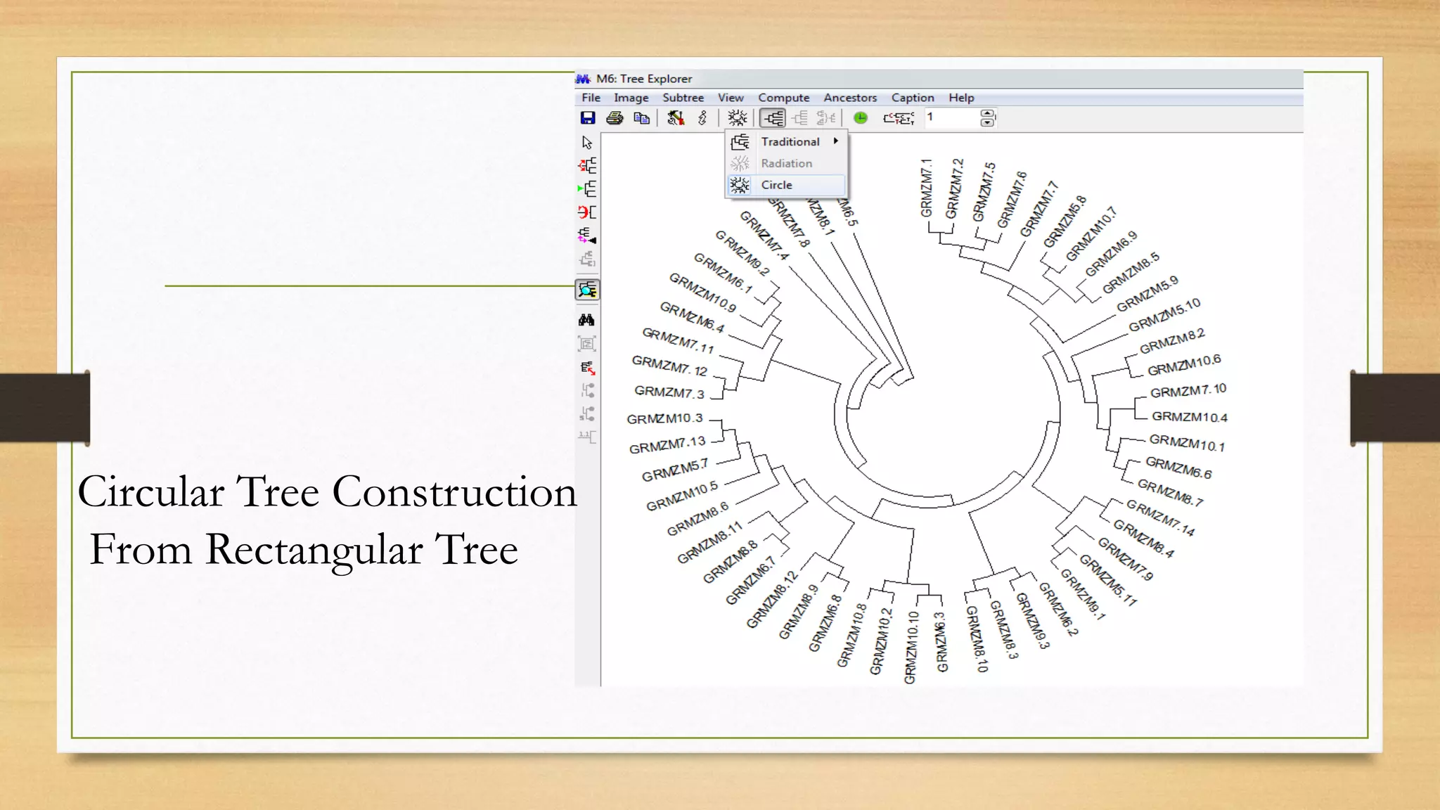 MEGA (Molecular Evolutionary Genetics Analysis) | PDF
