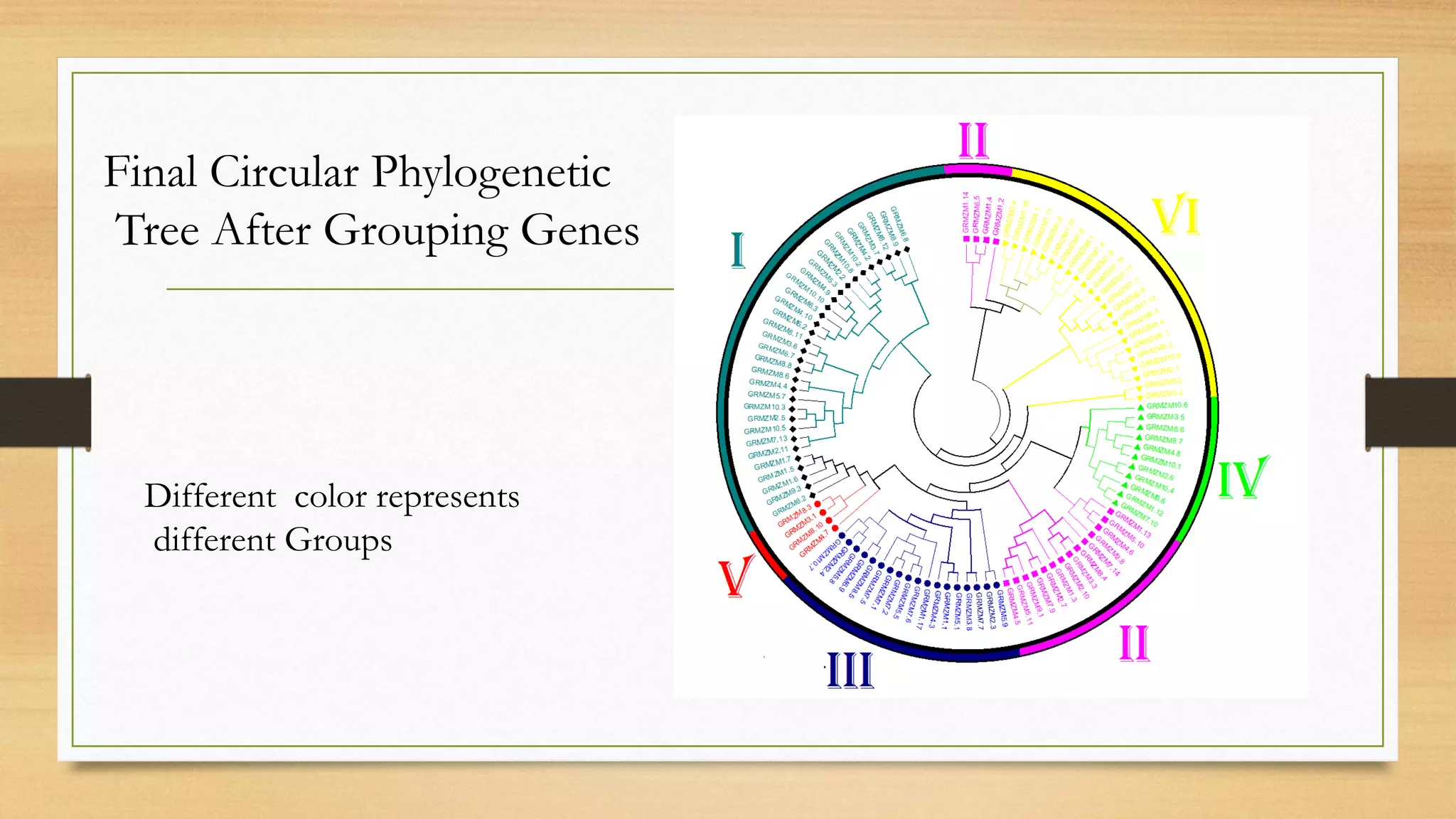 MEGA (Molecular Evolutionary Genetics Analysis) | PDF