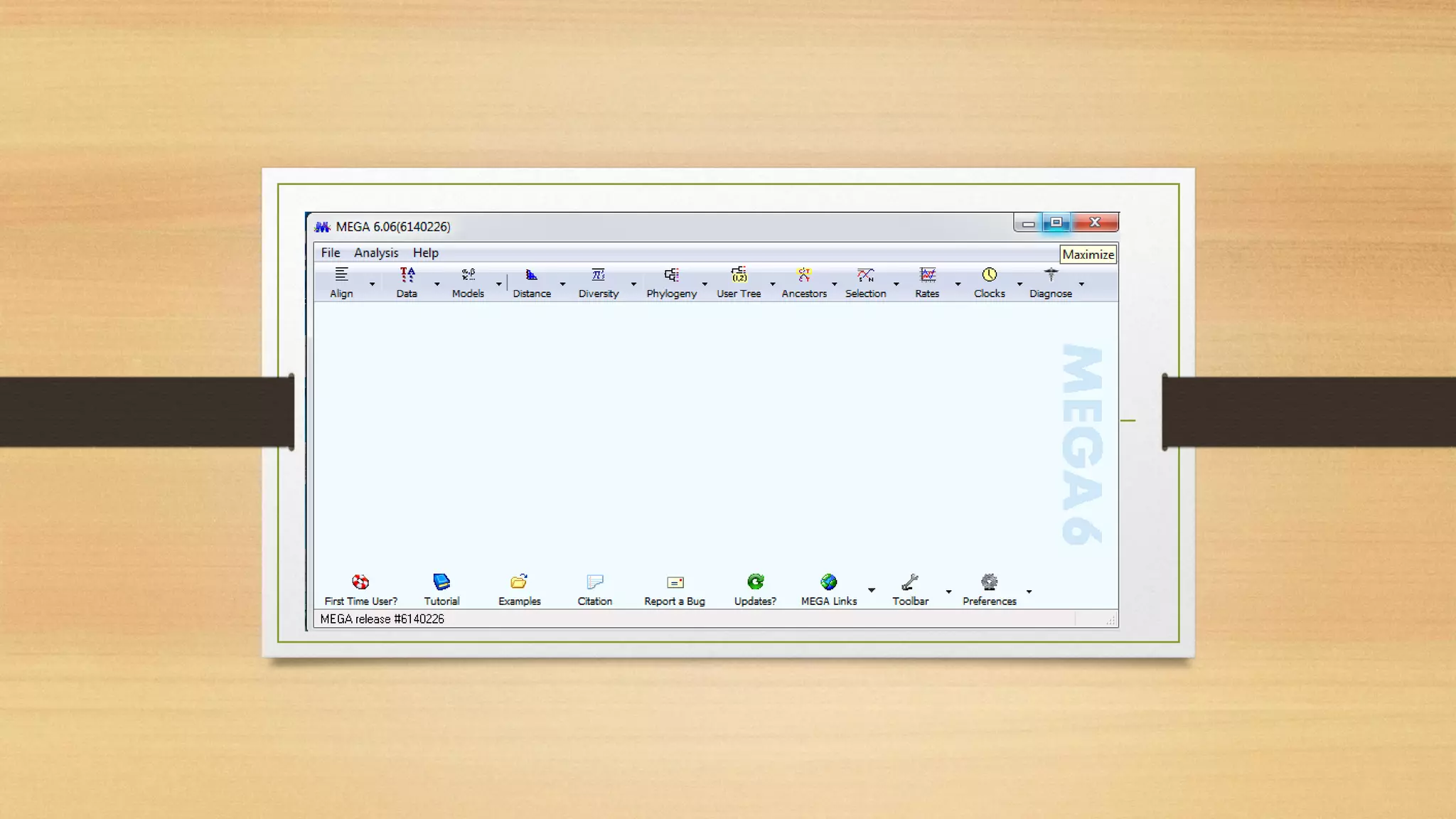 MEGA (Molecular Evolutionary Genetics Analysis) | PDF