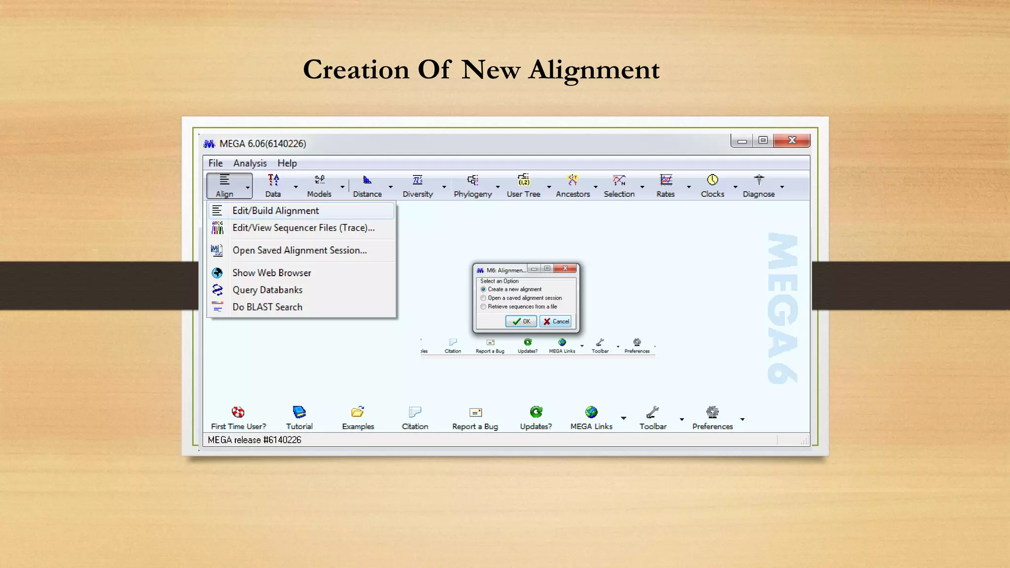 MEGA (Molecular Evolutionary Genetics Analysis) | PDF