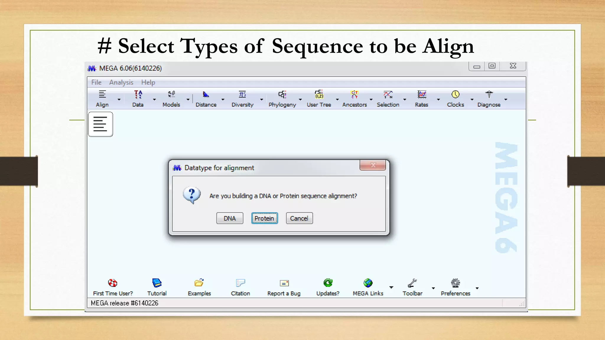 MEGA (Molecular Evolutionary Genetics Analysis) | PDF