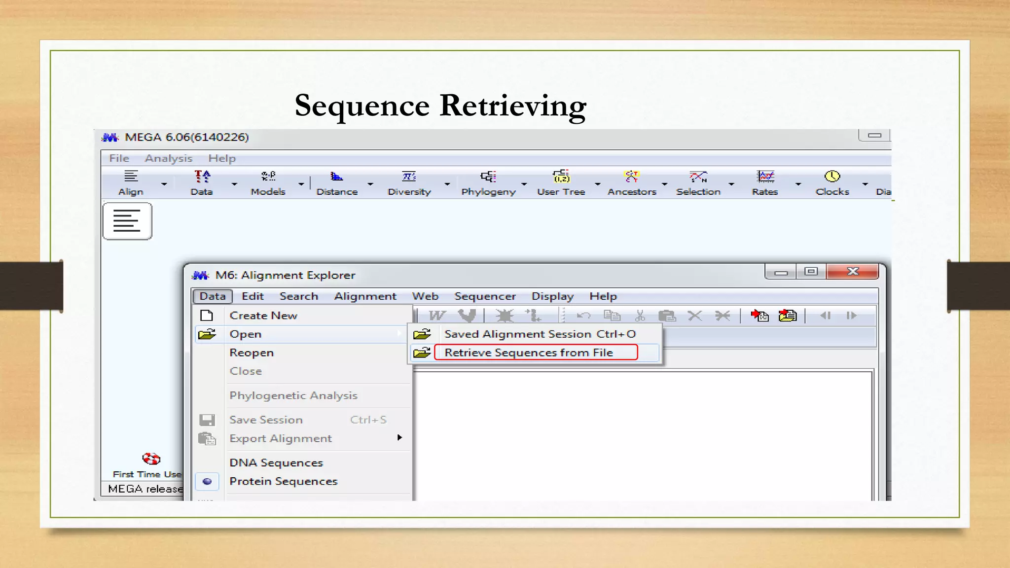 MEGA (Molecular Evolutionary Genetics Analysis) | PDF