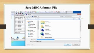 MEGA (Molecular Evolutionary Genetics Analysis) | PDF