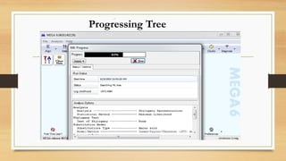 MEGA (Molecular Evolutionary Genetics Analysis) | PDF