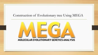 MEGA (Molecular Evolutionary Genetics Analysis) | PDF