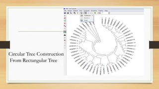 MEGA (Molecular Evolutionary Genetics Analysis) | PDF