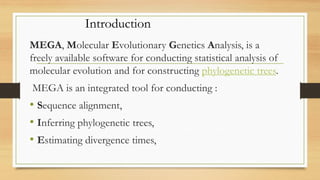 MEGA (Molecular Evolutionary Genetics Analysis) | PDF