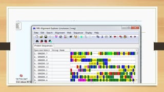 MEGA (Molecular Evolutionary Genetics Analysis) | PDF