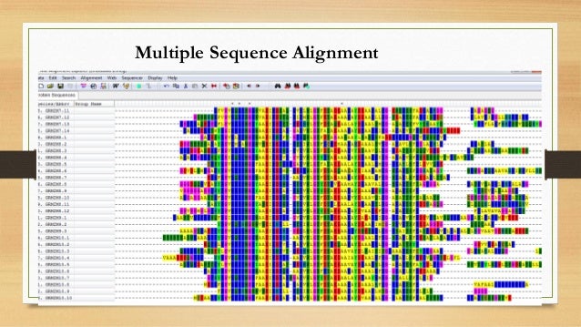 MEGA (Molecular Evolutionary Genetics Analysis)