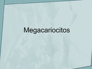 Megacariocitos | PPT