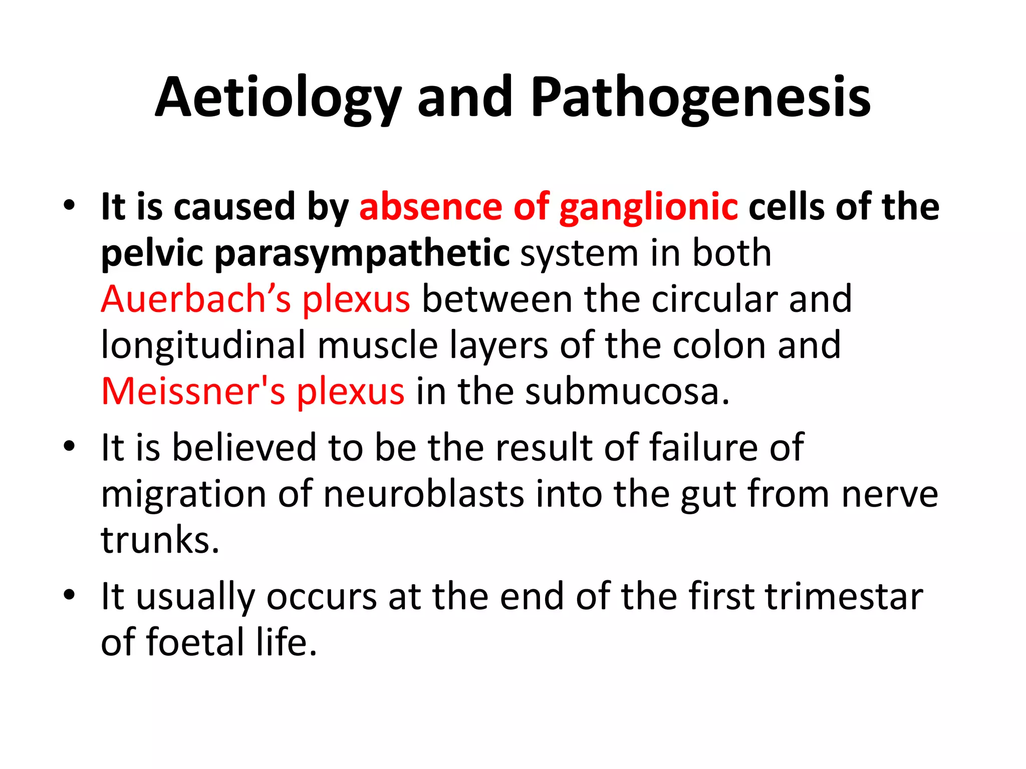 MEGACOLON.pptx