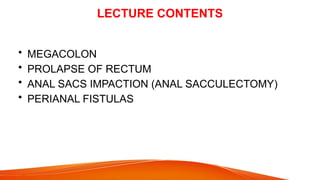 MEGACOLON animals & surgery,Treatment .pptx