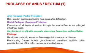 MEGACOLON animals & surgery,Treatment .pptx