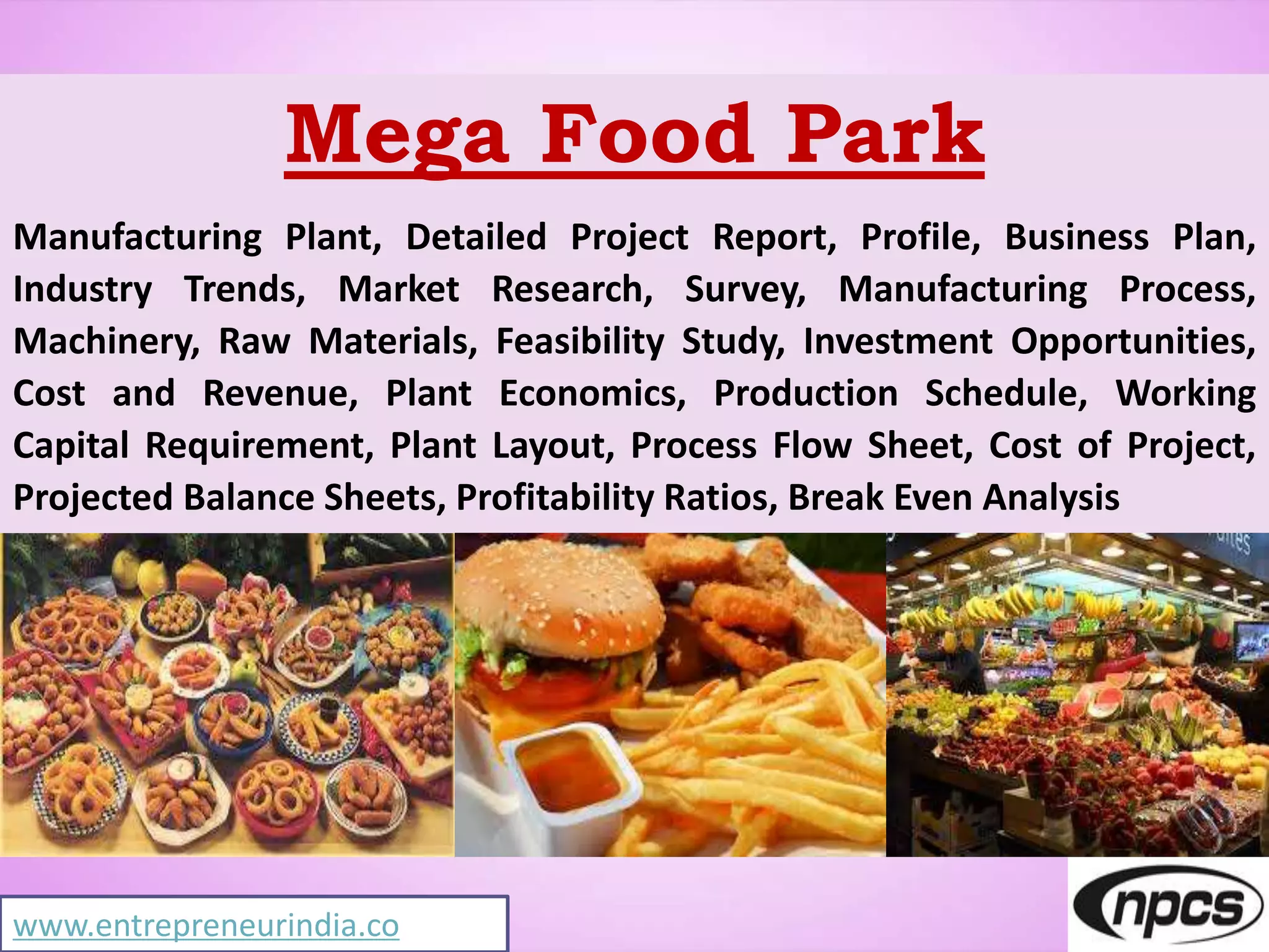 Mega Food Park | PPTX