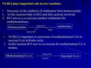 Megalaoblastic anemia (B12)mod.ppt
