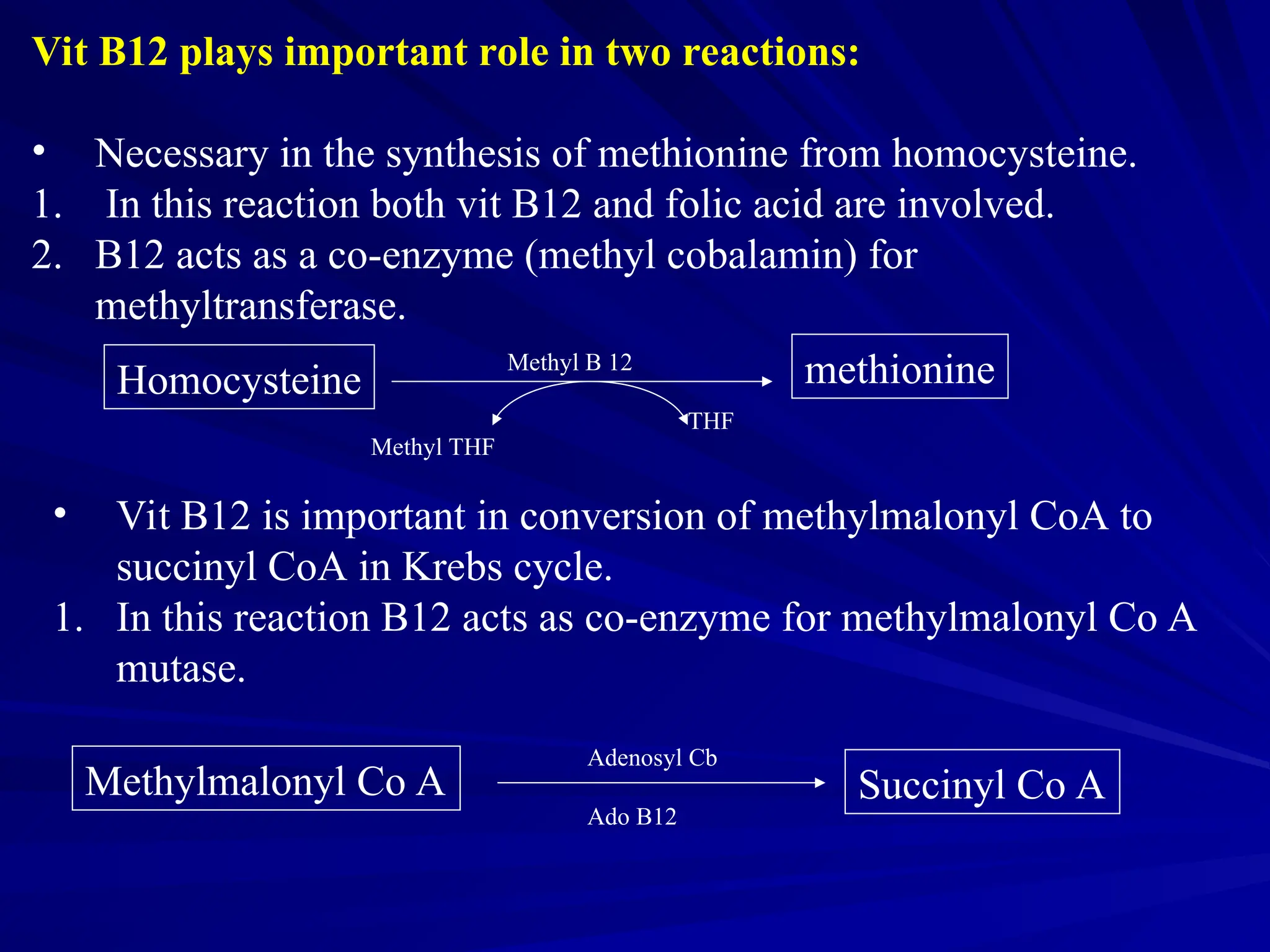 Megalaoblastic anemia (B12) deficiency.. | PPT