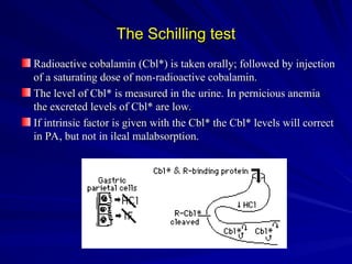 Megalaoblastic anemia (B12) deficiency.. | PPT