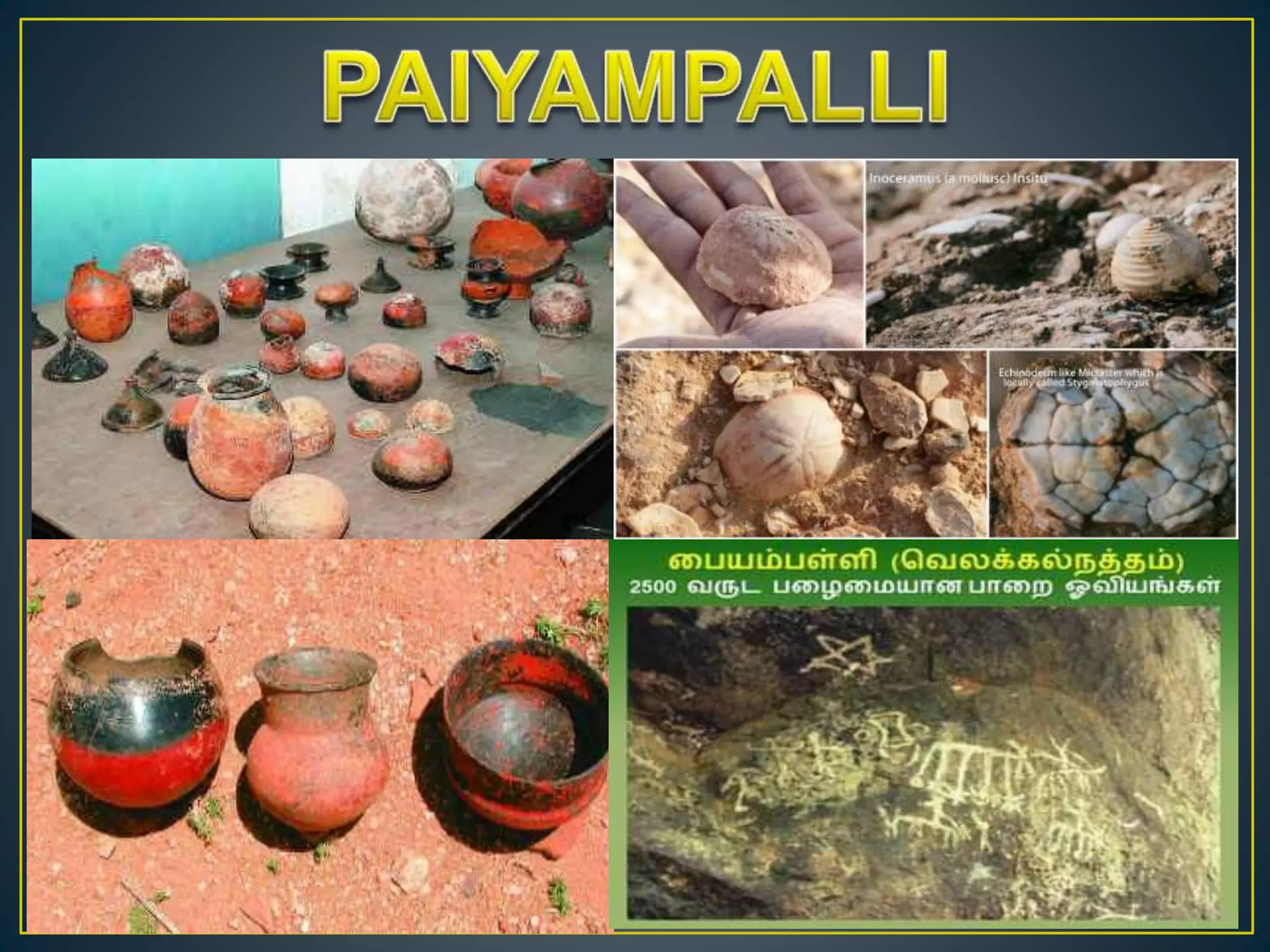 MEGALITHIC AGE IN TAMIL NADU.pptx