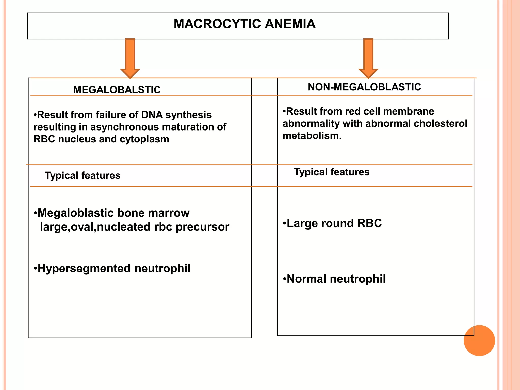 Megaloblastic anemia | PPTX