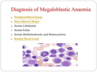 Megaloblastic Anemia Peripheral Smear