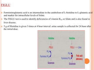 Megaloblastic Anaemia | PPTX