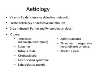 Pernicious Anemia Pathophysiology
