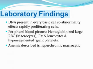 Megaloblastic anaemia . And all anout anaemia, pernicious anaemia, | PDF
