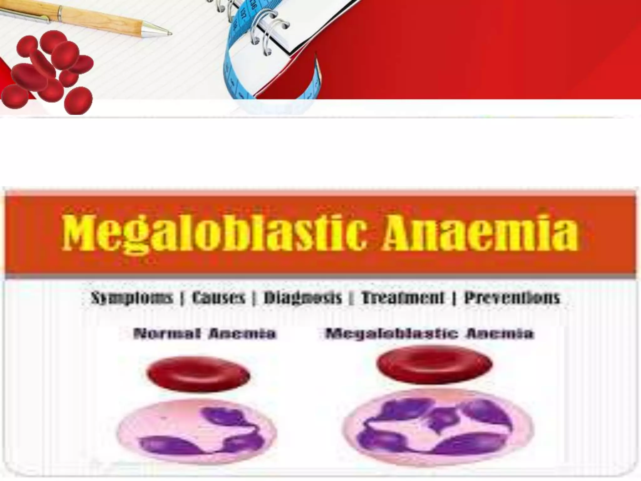 Megaloblastic Anaemia | PPTX