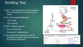 Megaloblastic anemia | PPTX