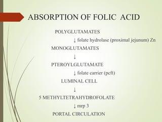 Megaloblastic anemia | PPTX