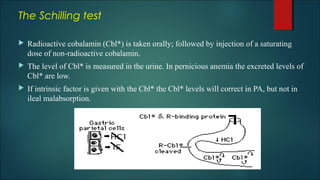 Megaloblasticanemia | PPT