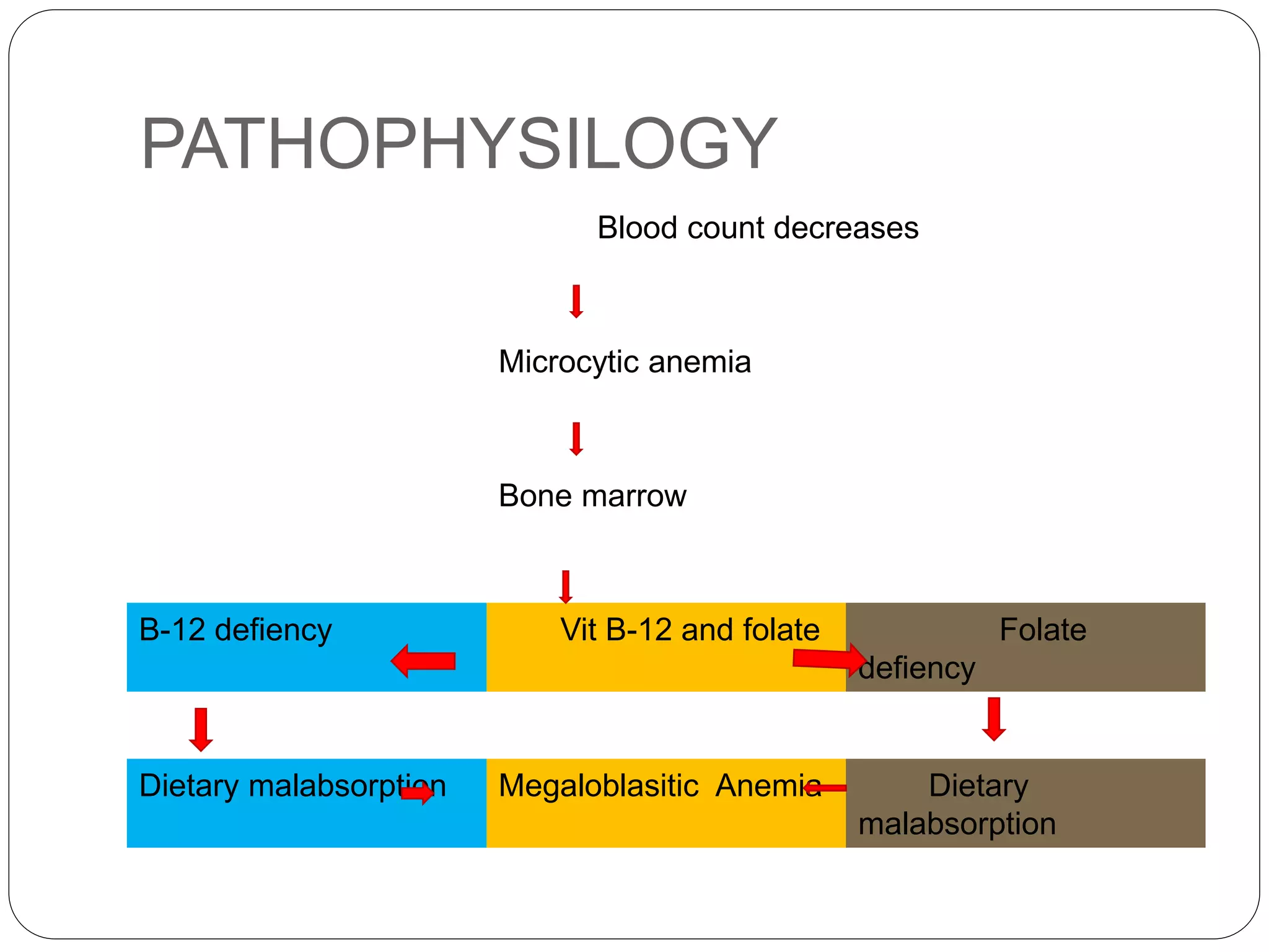 Unit 3: Megaloblastic anemia | PPTX | Blood Disorders | Diseases and ...