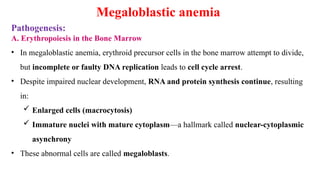 Hematological Disorders-Megaloblastic anemia.pptx