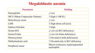 Hematological Disorders-Megaloblastic anemia.pptx