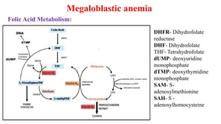 Hematological Disorders-Megaloblastic anemia.pptx