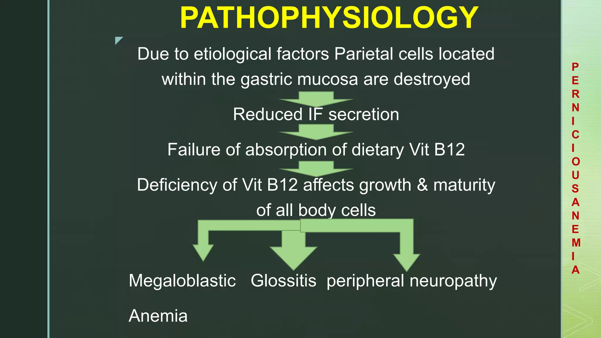 Megaloblastic anemia and pernicious anemia | PPTX