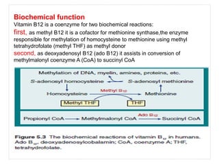 Megaloblastic Anemia megaloast anemia..pdf
