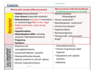 Megaloblastic Anemia megaloast anemia..pdf