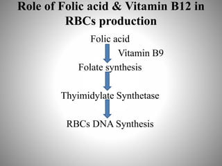 PATHOPHYSIOLOGY OF MEGALOBLASTIC ANEMIA .pptx | Blood Disorders ...