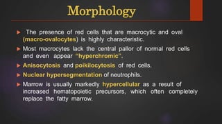 Megaloblastic Anemia | PPTX